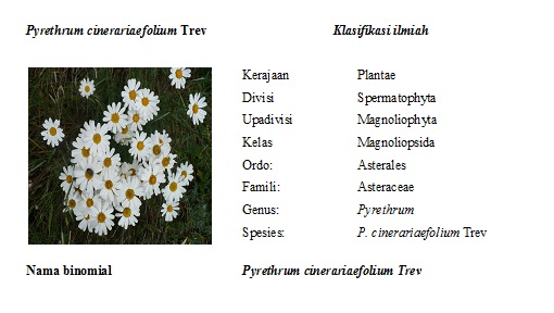 PYRETHROID : INSEKTISIDA UNTUK FOGGING - dkk.sukoharjokab.go.id :: DKK ...